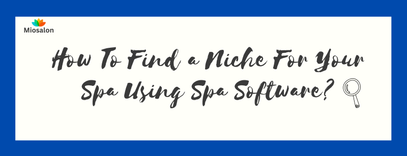 How To Find a Niche For Your Spa Using Spa Software?